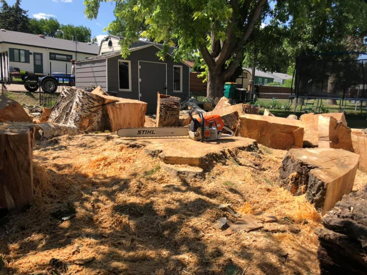 Tree Trimming & Removal | Mandan & Bismarck, ND | AA Tree Services LLC